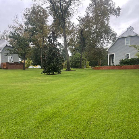 Lawn Care Company | Pest Control Services in Tyler, TX | The Lawn Whisperer